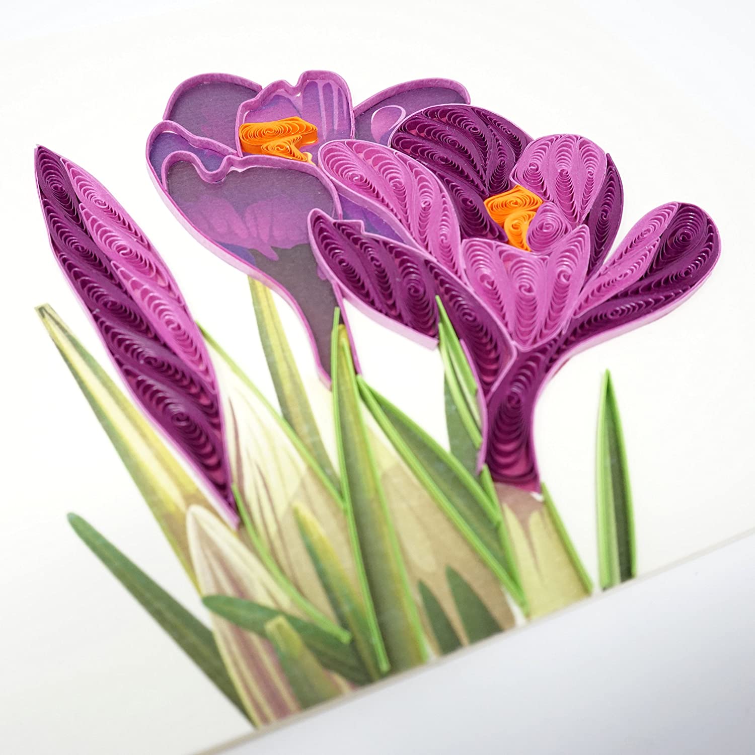 Crocus Flower Quilling Card – WOW Pop Up Card