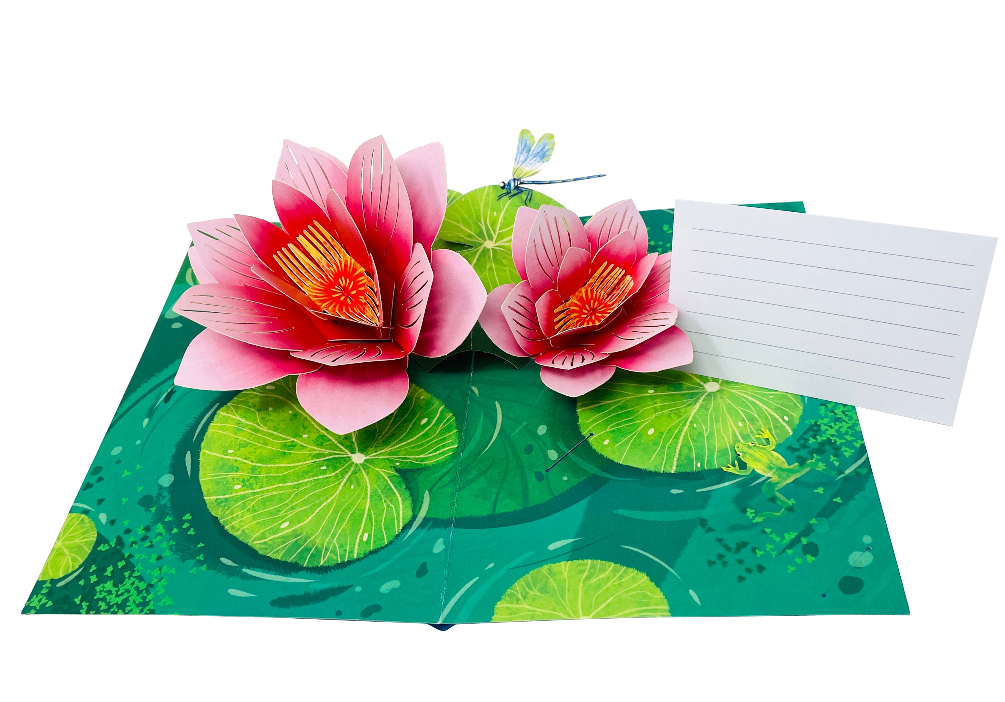 Water Lily - WOW 3D Pop Up Greeting Card – WOW Pop Up Card
