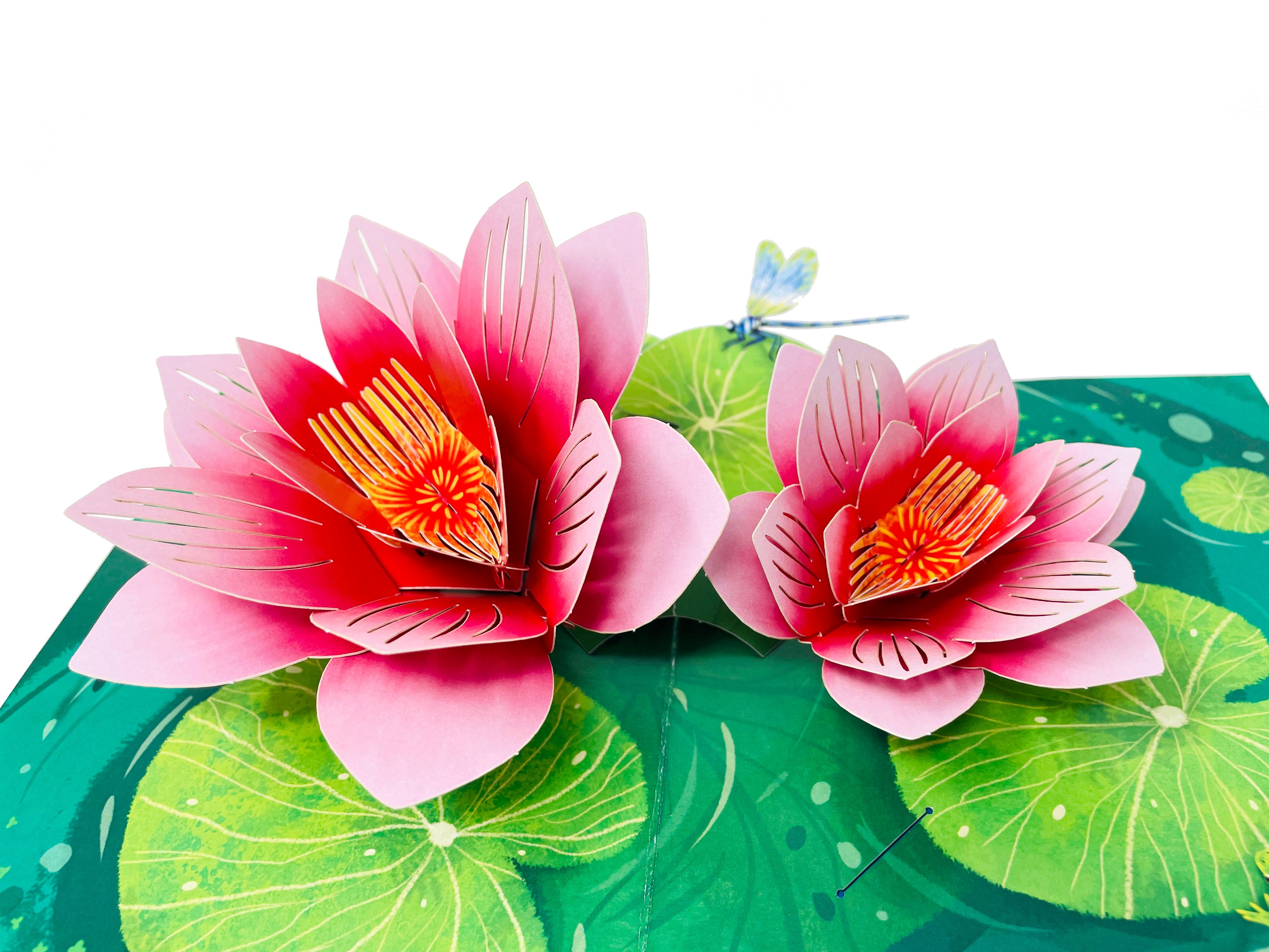 Water Lily - WOW 3D Pop Up Greeting Card – WOW Pop Up Card